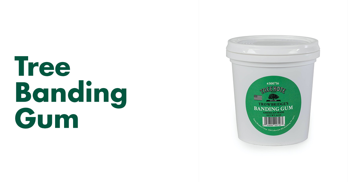 Treekote Tree Banding Gum | Eaton Brothers
