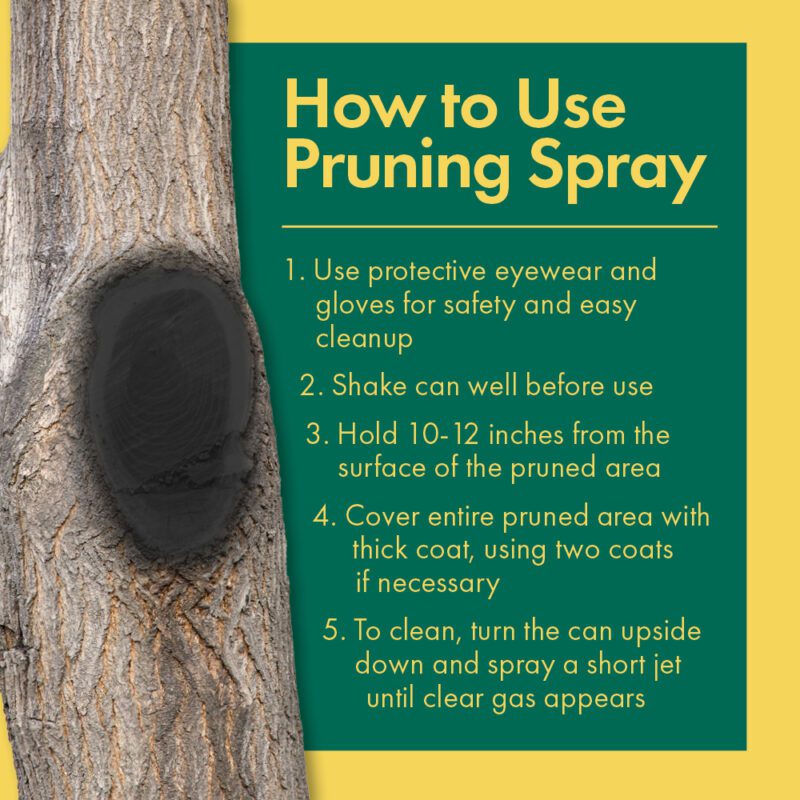 Treekote Tree Wound & Pruning Spray - Prevent Oak Wilt Disease!