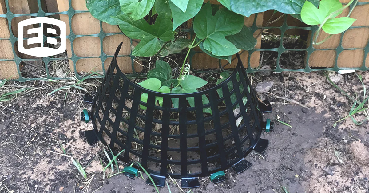 How Tree Shelters Help Young Trees | Eaton Brothers