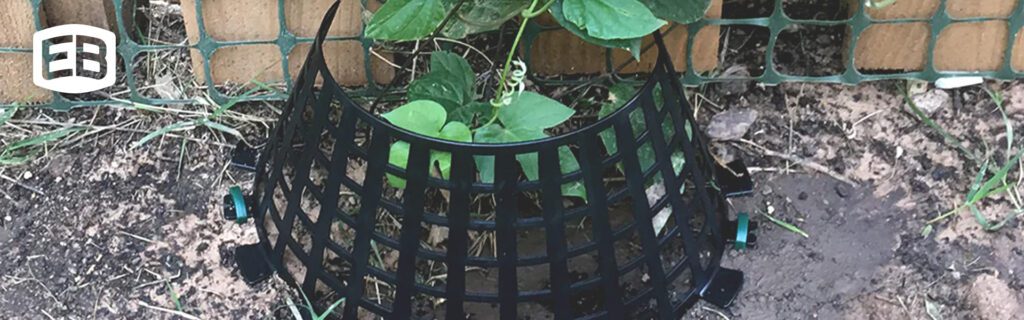 How Tree Shelters Help Young Trees | Eaton Brothers