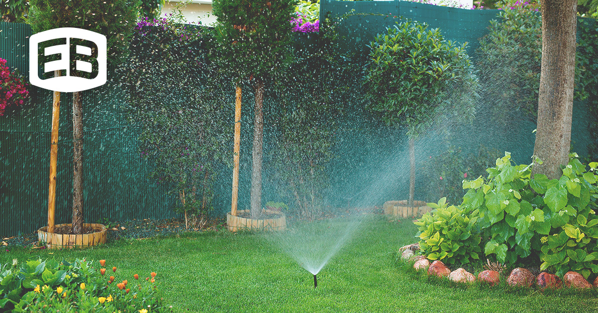 What You Need to Know About Tree Watering | Eaton Brothers
