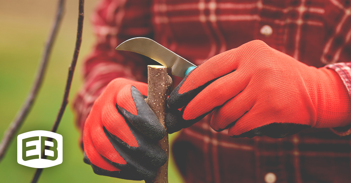 How to Use A Pruning Knife & Other Garden Knives | Eaton Brothers