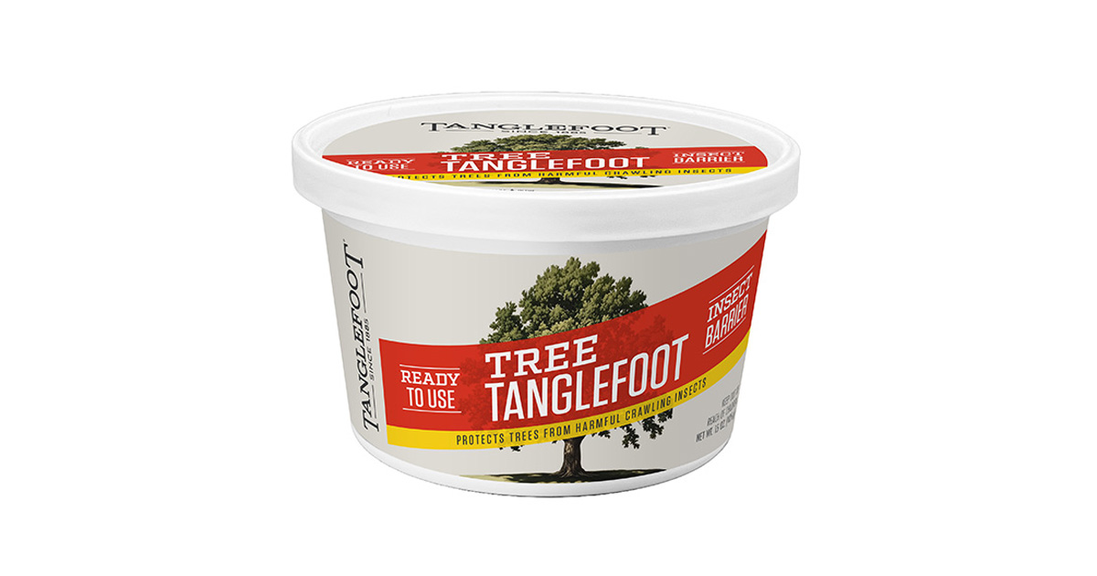 Tree Tanglefoot 15oz Insect Barrier | Eaton Brothers