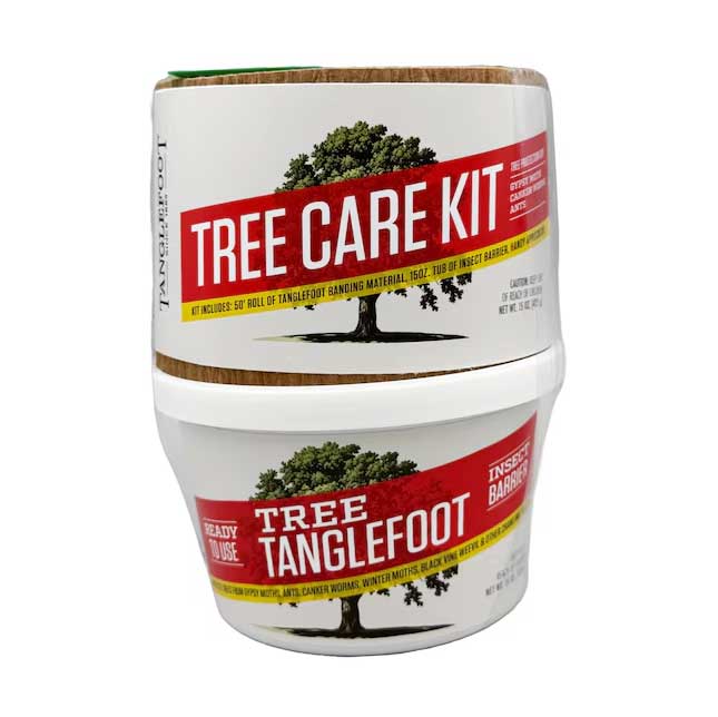 Tanglefoot Tree Care Kit - Outdoor Insect Trap | Eaton Brothers