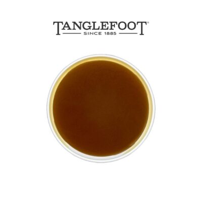 Tree Tanglefoot 15oz Insect Barrier | Eaton Brothers
